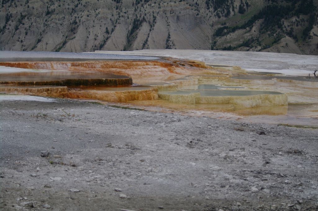Yellowstone -- Travertine steps [pools] at upper Mammoth terrace